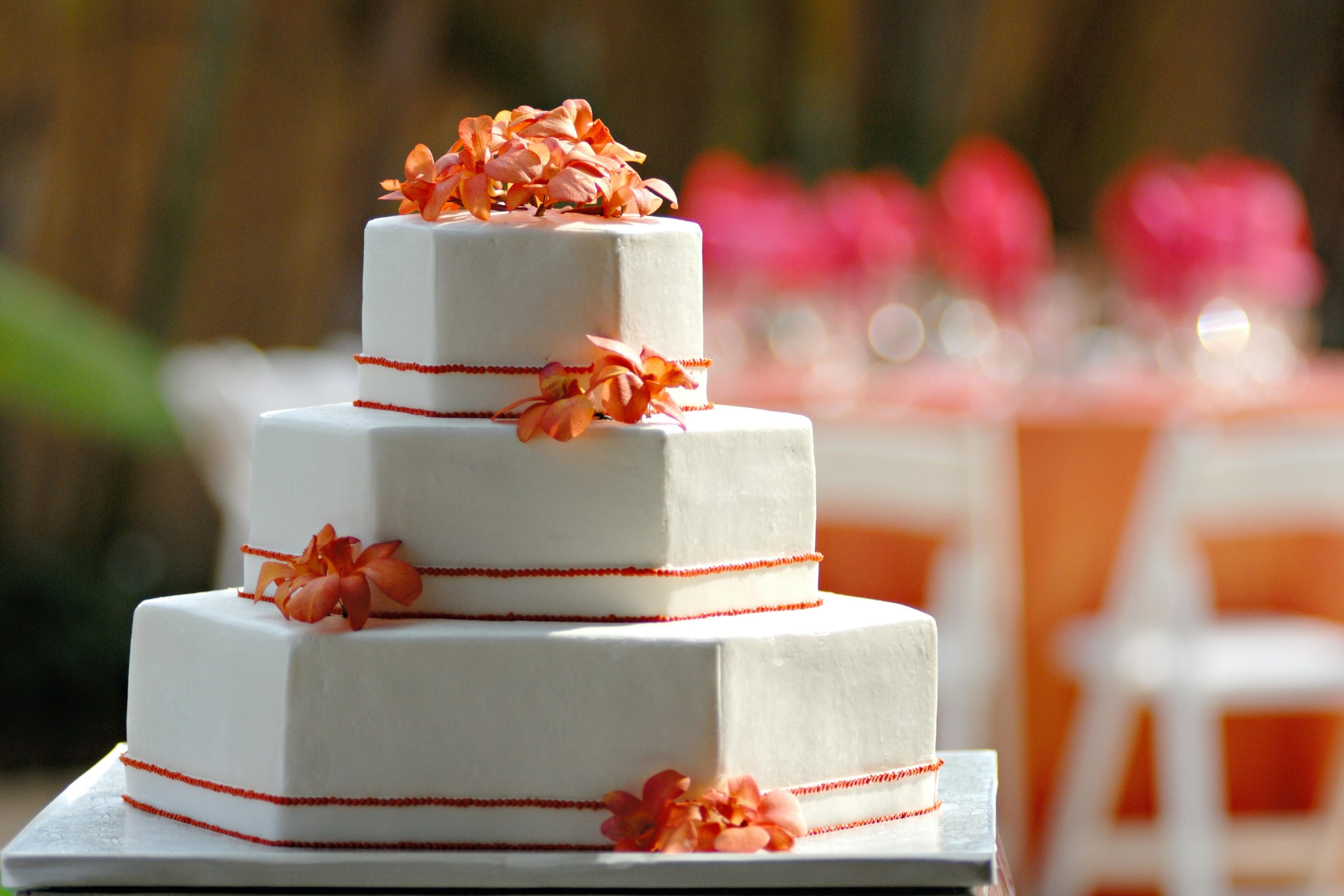 Behind the Frosting: The Passion and Precision That Go Into Every Treat ...
